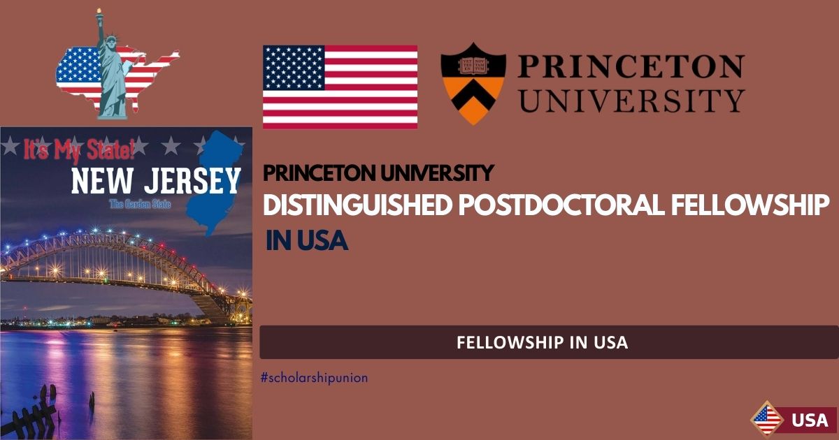 Princeton Distinguished Postdoctoral Fellowship 2026