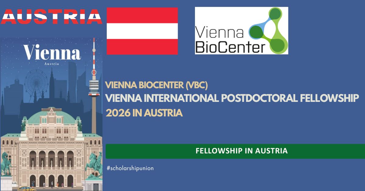 Vienna International Postdoctoral Fellowship 2026