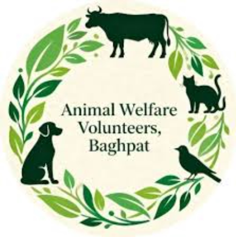 ActForPaws Global Responsible Citizen Winter Challenge 2025–26 (Open to ...